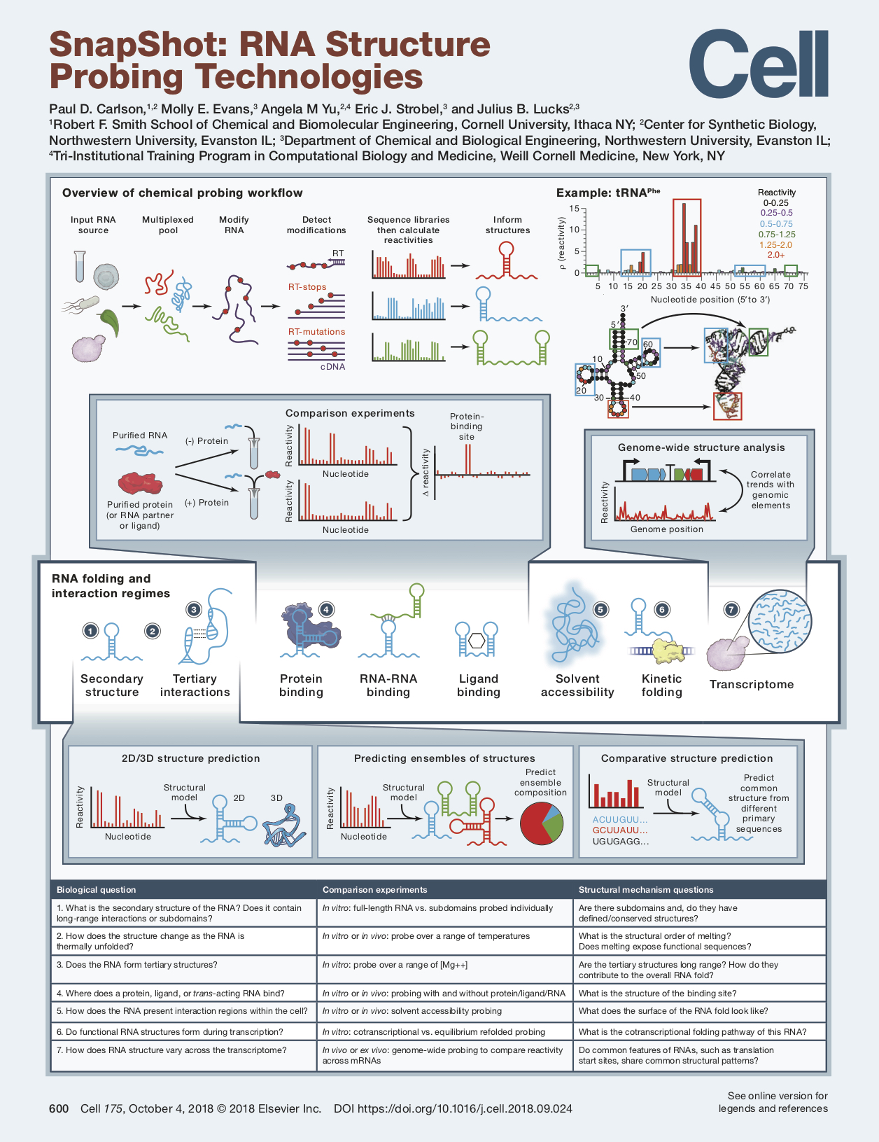 Our Cell Snapshot on RNA structure probing is published! – Lucks Laboratory