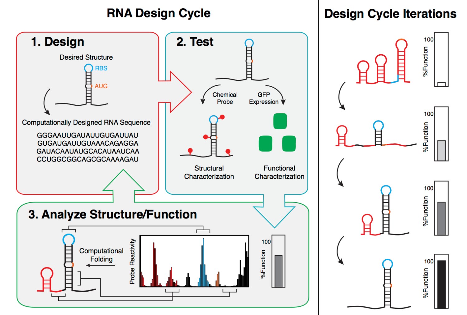 A_New_Paradigm_for_RNA_Engineering – Lucks Laboratory